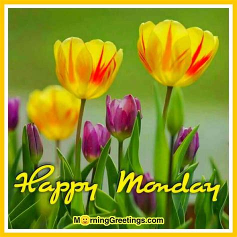 Good Morning Happy Monday Images Hello Monday Morning Greetings