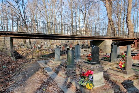 Мост над засыпанной рекой на Большеохтинском кладбище отремонтируют — Городские новости Санкт