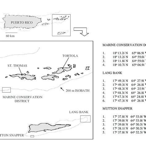 Example Side Scan Sonar Record With Water Column Before Slant Range