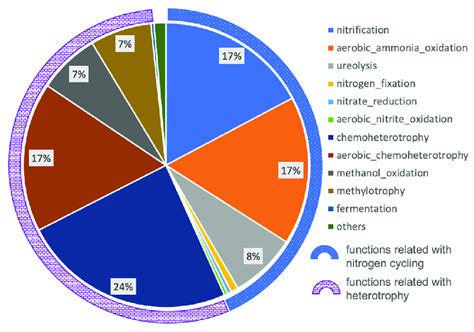 The Relative Abundance Of Major Functional Groups Distribution Higher