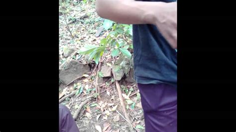 Jolok Nang Alas Sex YouTube