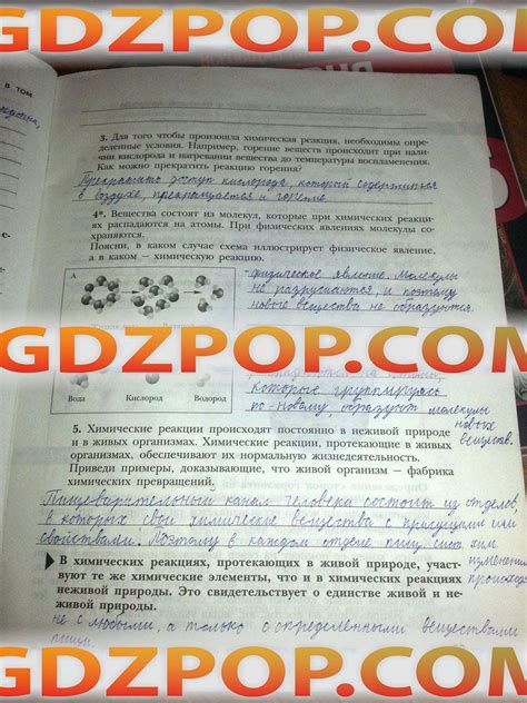 ГДЗ ГДЗ природоведение 5 класс Сухова Строганов рабочая тетрадь ...