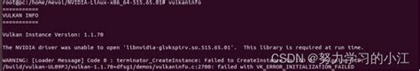 ubuntu下运行ue打包的工程，出现“cannot find a compatible vulkan device or driver”报错