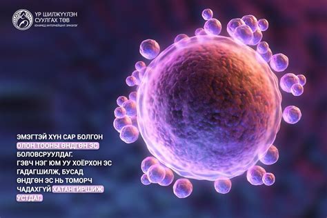 👉 Эмэгтэй хүний Юнимед Үр Шилжүүлэн Суулгах Төв