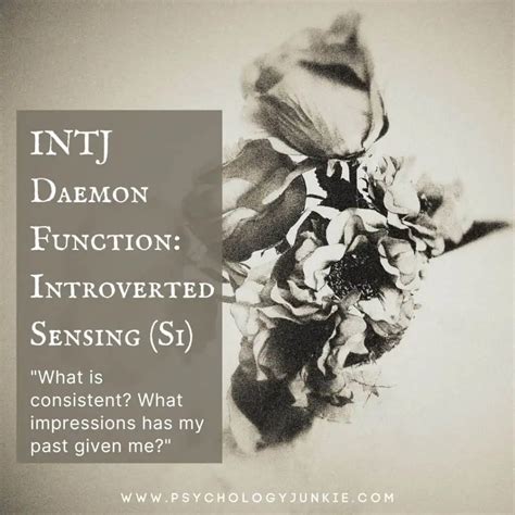 The INTJ Cognitive Function Stack Psychology Junkie