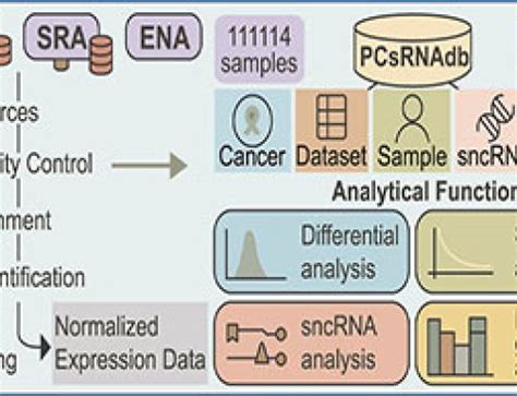 Seuratextend Streamlining Single Cell Rna Seq Analysis Through An