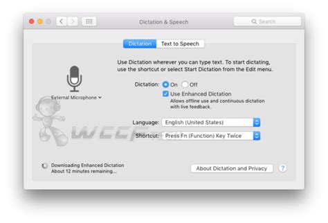 Enable Dictation On Mac Os X Using Voice How To