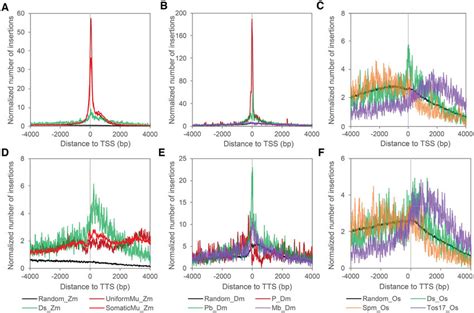 Characterization Of Distribution Of De Novo Transposon Insertions That