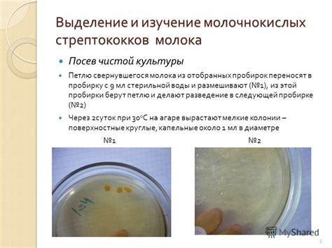 Презентация на тему: "Молочнокислое брожение Министерство образования и ...