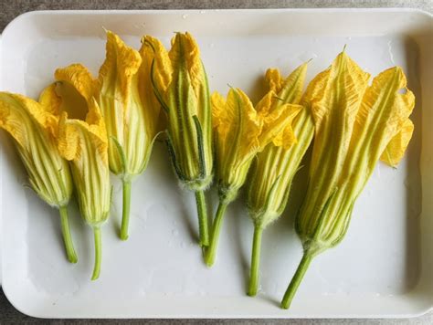 노란 별꽃같은 호박꽃 쌈밥 만드는법