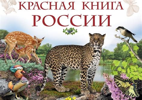Красная книга россии птицы картинки и названия