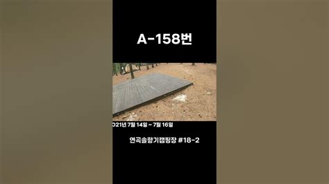 랑리온캠핑 연곡솔향기캠핑장 18 2 Shorts A 158번사이트 대형데크 명당사이트 바다뷰 해수욕장캠핑장 Youtube