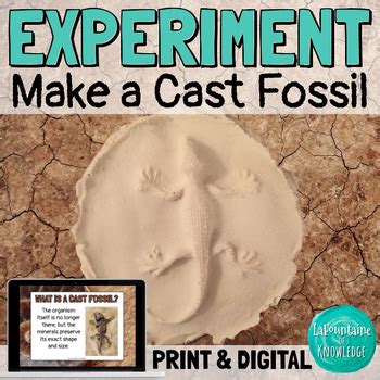 Make A Cast Fossil Science Experiment PRINT And DIGITAL TPT