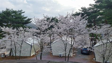 울산큰애기 경진대회 대외활동 공모전 2025 Dfam 경진대회 📍 접수기간 ~731목 📍 공모부문 산업