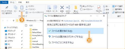 Honey Select 2 Libido DX Steam版 導入マニュアル
