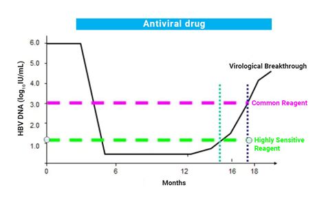 Why Hbv Dna Quantitative Test Important？ Daan Gene Co Ltd