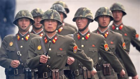 Війська КНДР на війні — ССО показали щоденник знищеного солдата Новини Live