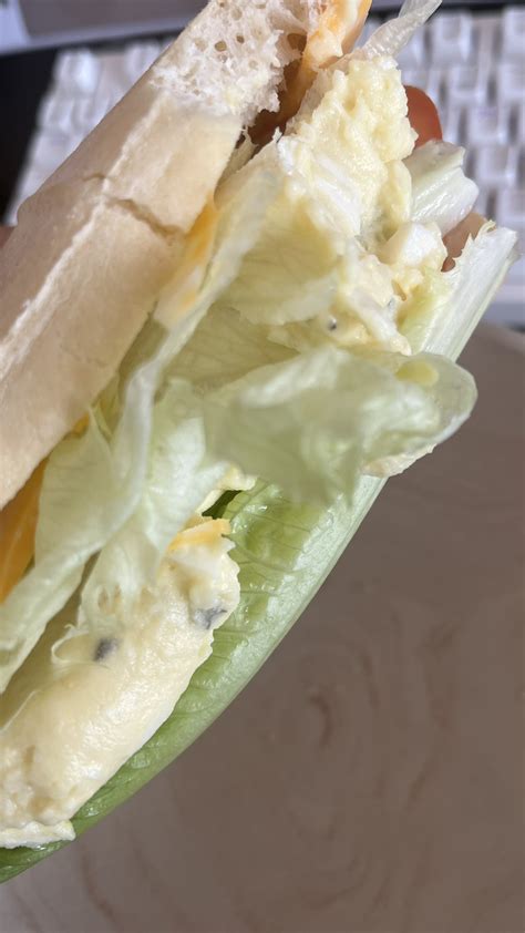 집밥이 최고시다 샌드위치는 대체 어케 만들어야 Daum 카페