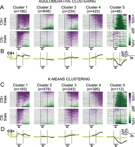 Figures And Data In Specialized Coding Patterns Among Dorsomedial Prefrontal Neuronal Ensembles