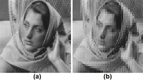 barbara reconstruction using l1 magic algorithm n 64 m 51 m n