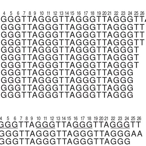 A Schematic Drawing Of The Folding Topologies Of The Hybrid 1 Major Download Scientific
