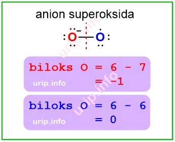 Bilangan Oksidasi Atom Pada Anion Unik Dan Bilangan Oksidasi Rata