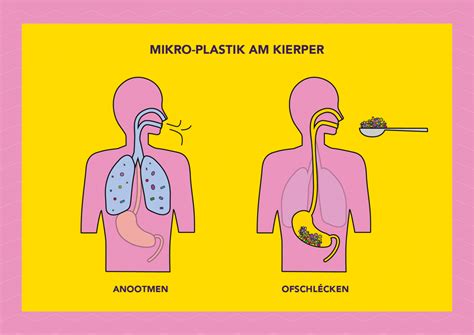 Are Microplastics A Problem