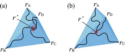 schematic figures of the tetrahedral model for a the slip model and