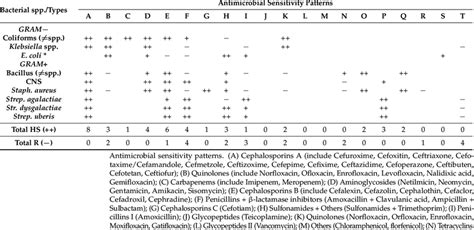 Antimicrobial Sensitivity Patterns Of Representative Pathogen Species Download Scientific