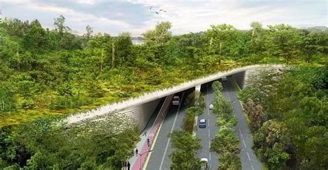 Reimagining The Future How Sustainable Architecture Shapes A Greener