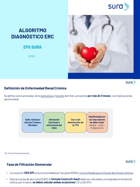 Algoritmo Diagnostico Erc 2024 Pdf Riñón Medicina