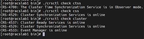 Anjani Apps Dba Oracle 19c Rac Startup Sequence Step By Step Process
