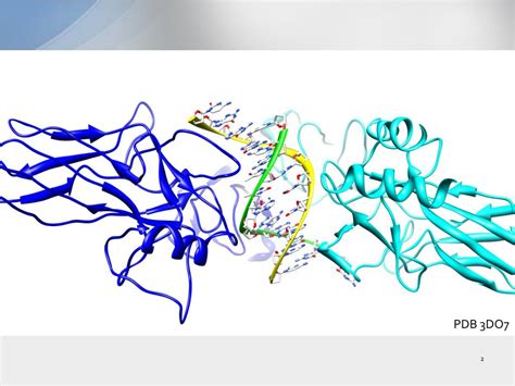 Ppt Dna Binding Residues And Binding Mode Prediction With Binding