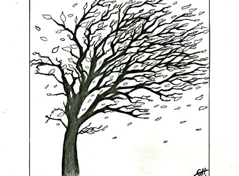 Wind Blown Tree By Haussage On DeviantArt