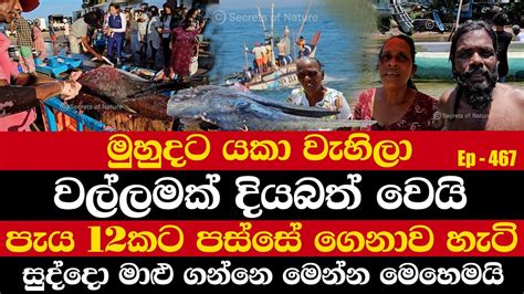 මහදට යක වහල වලලමක දයබත වය බරගනන පය ක සටනක YouTube