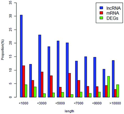 Transcript Length Differentially Expressed Long Non Coding Rna Mrna