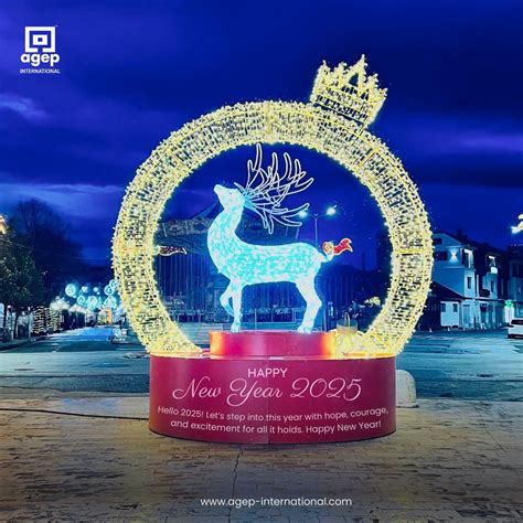 prachi trifaley on linkedin agepinternational newyear2025