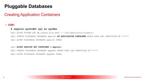 oracle multitenant 19c all about pluggable d pdf