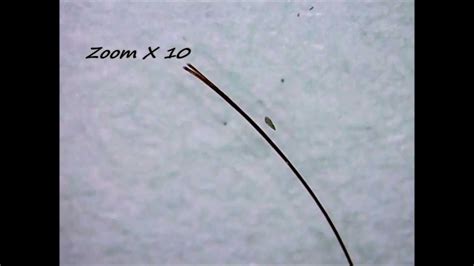 Split Ends Microscope