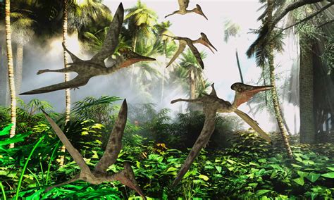 Pterodactyl Walking