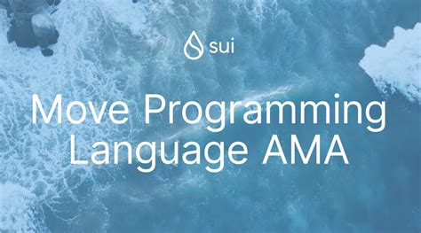 Recap 728 Sui Ama Move Programming Language By Dmitry Bozza Medium