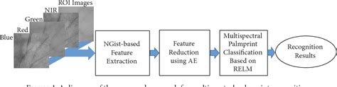 Figure 1 From An Improved Multispectral Palmprint Recognition System Using Autoencoder With