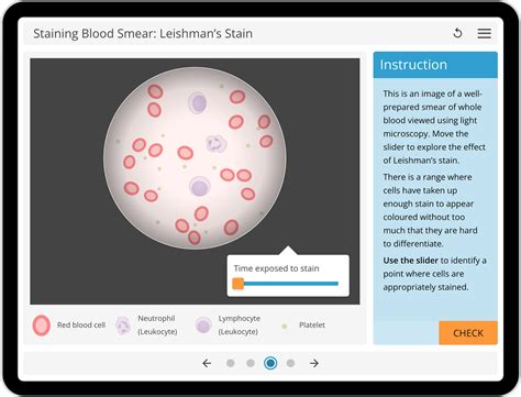 Biomedical Science Lab Simulations And Smart Worksheets Learnsci