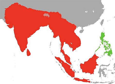 Anabas Testudineus Wikiwand