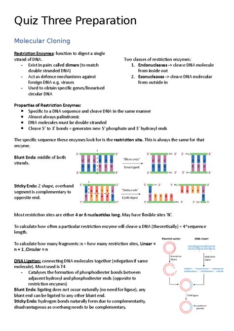 Quiz Three Preparation Quiz Three Preparation Molecular Cloning