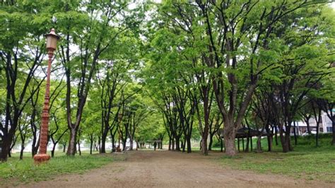 여주신륵사~강변 노지캠핑 네이버 블로그