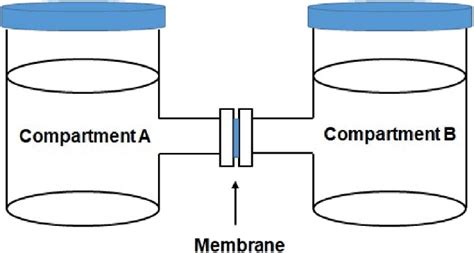 Schematic Of The Diffusion Cell Download Scientific Diagram