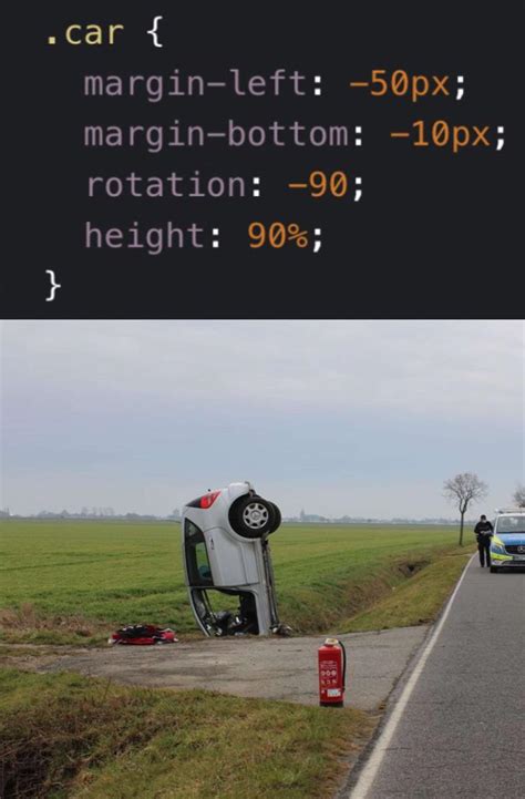 when the backend dev makes the frontend r programmerhumor