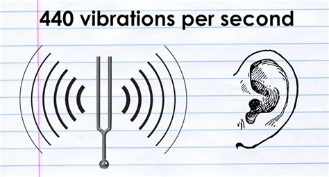 Why Is There A Scrunchie On Your Guitar Sympathetic Vibration