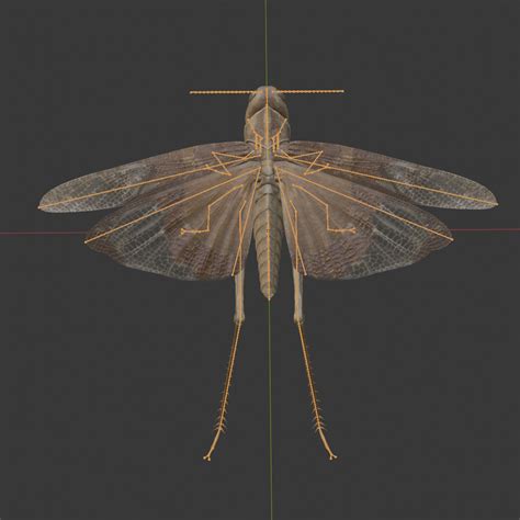 Artstation Locust Grasshopper Game Assets